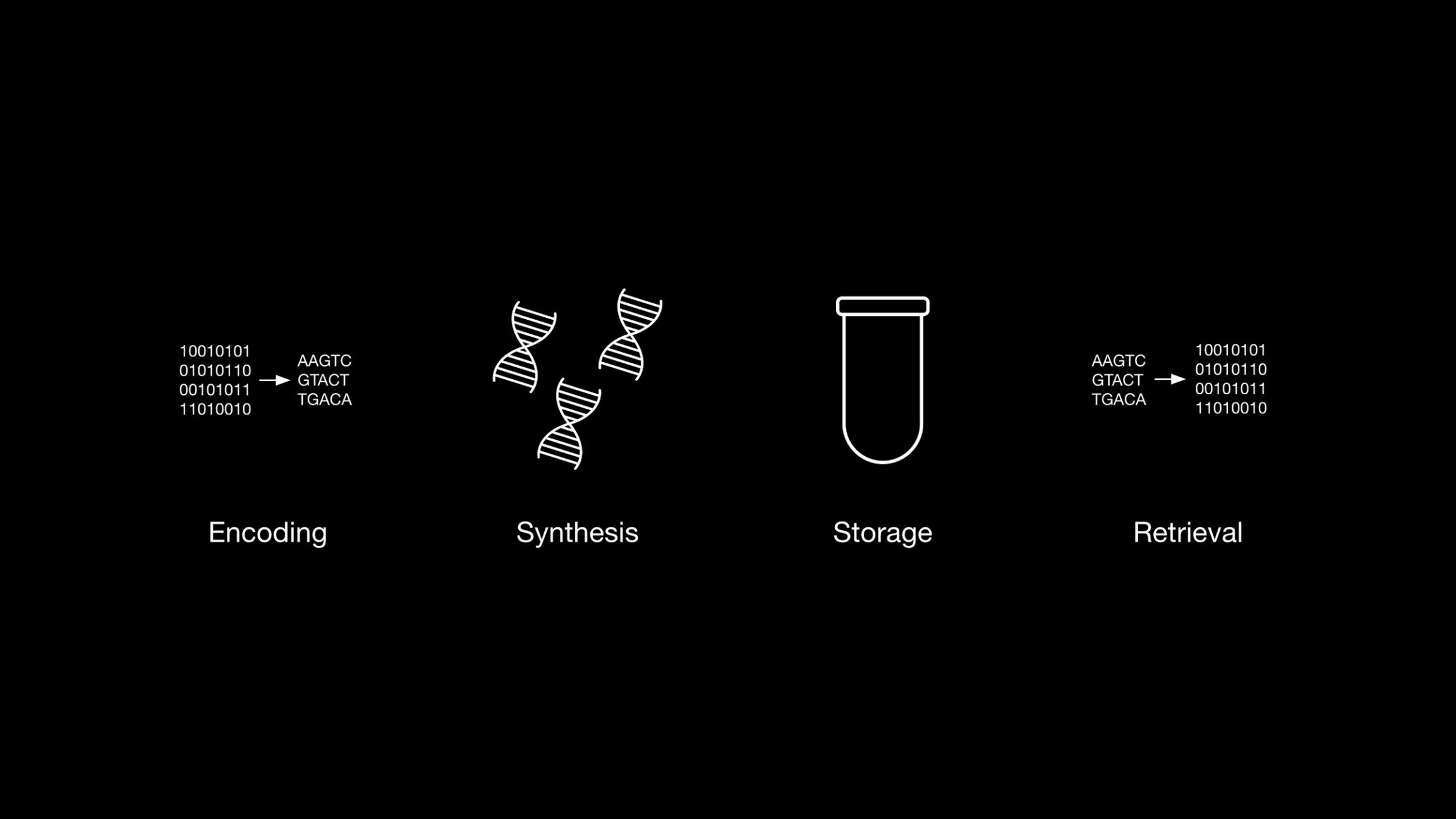 Álfar - EPFL+ECAL Lab